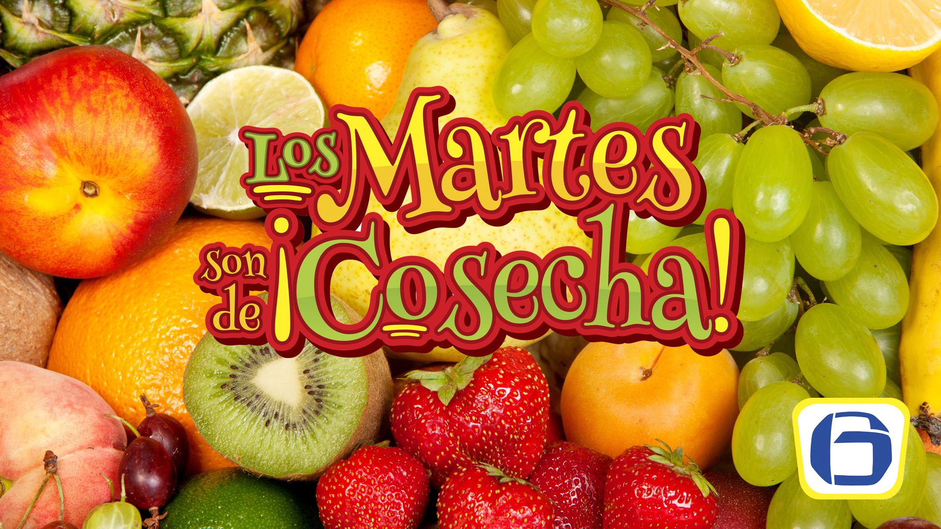 Super Gutiérrez | Bienvenidos